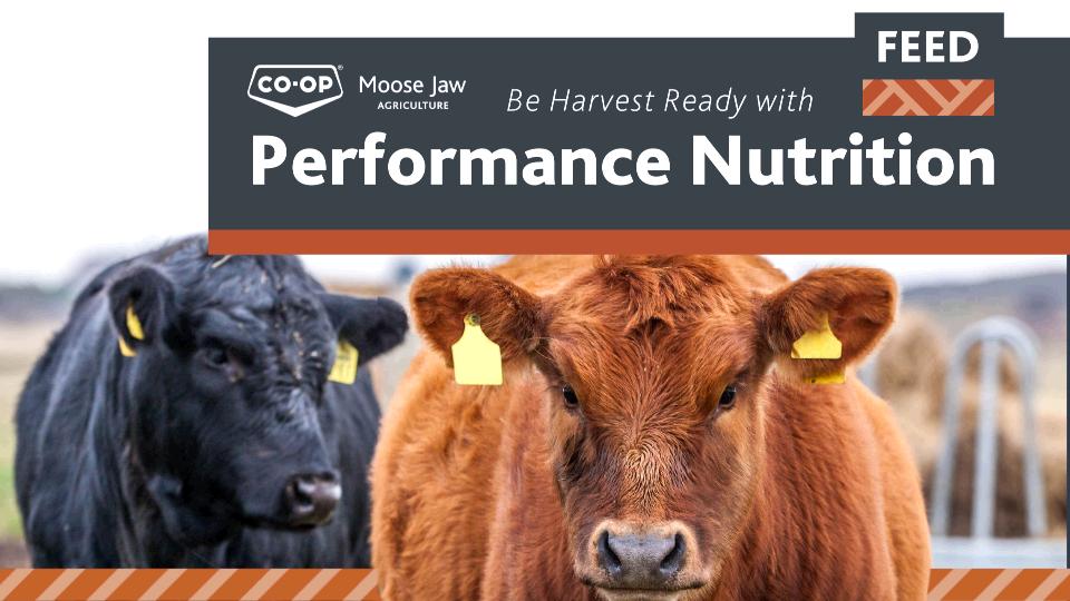 Be Harvest Ready with Performance Nutrition | Moose Jaw Co-op
